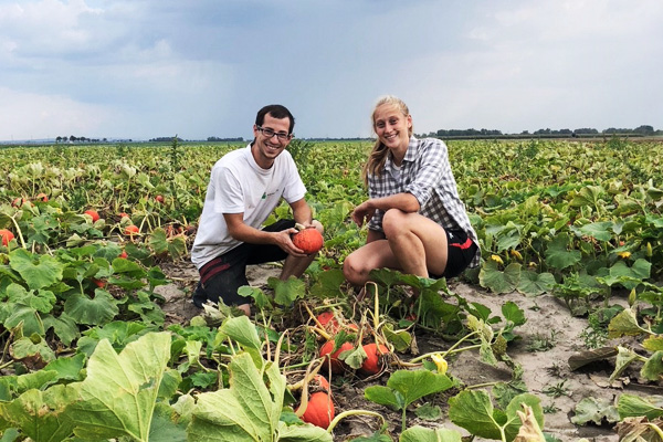 Erntesommer am ADAMAH BioHof